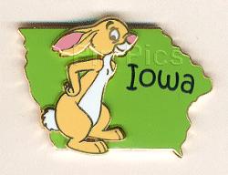 PP14937 - State Character Pins (Iowa/Rabbit) - PinPics