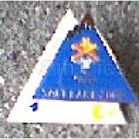 PP27462 - ARD / ZDF Salt Lake Pin - PinPics