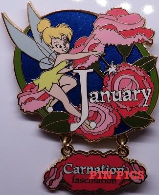 PP51865 - DLR - Tinker Bell Flower Collection 2007 - January ...