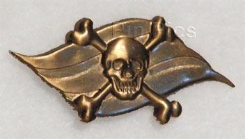 PP55374 - DCL - Wave Logo with Skull and Crossbones - PinPics