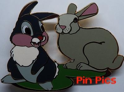 PP66188 - DS - Disney Shopping - Seeing Double Series Thumper Pin - PinPics