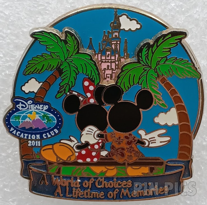 PP81336 - DVC - Minnie and Mickey - A World of Choices A Lifetime of ...