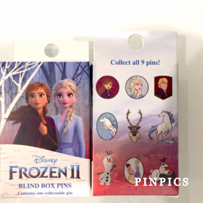 PP137300 - Hot Topic - Unopened Box - Frozen II Mystery - PinPics